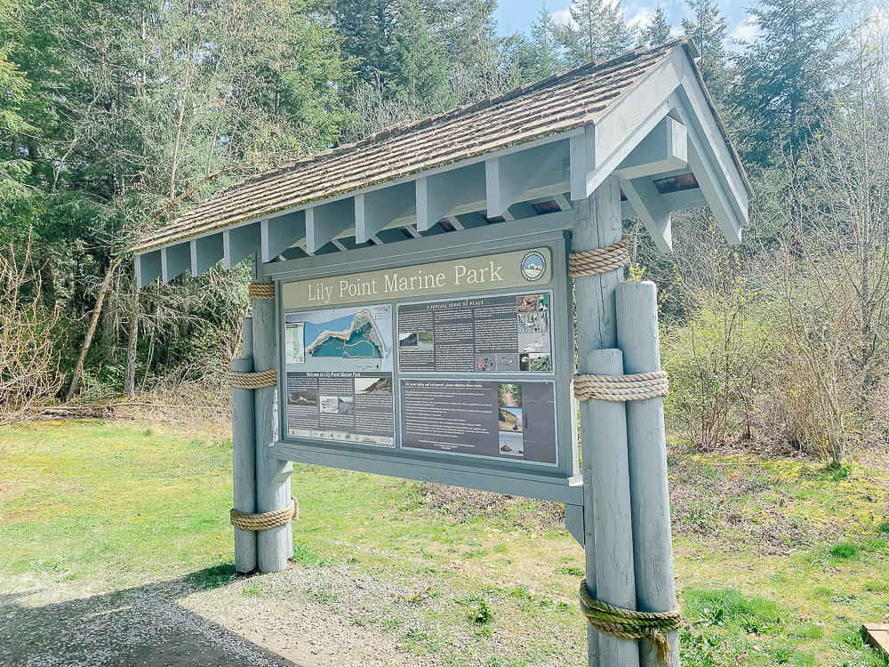 Things to Do in Point Roberts | Visit Point Roberts